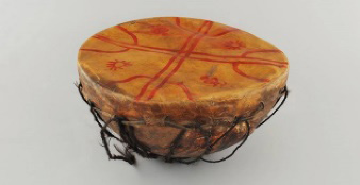 Machi investigó los efectos del Kultrun en la germinación de las ...