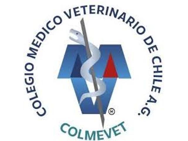 Colegio Médico Veterinario da recomendaciones a Salmoneros para ... Colegio Médico Veterinario da recomendaciones a Salmoneros para ...