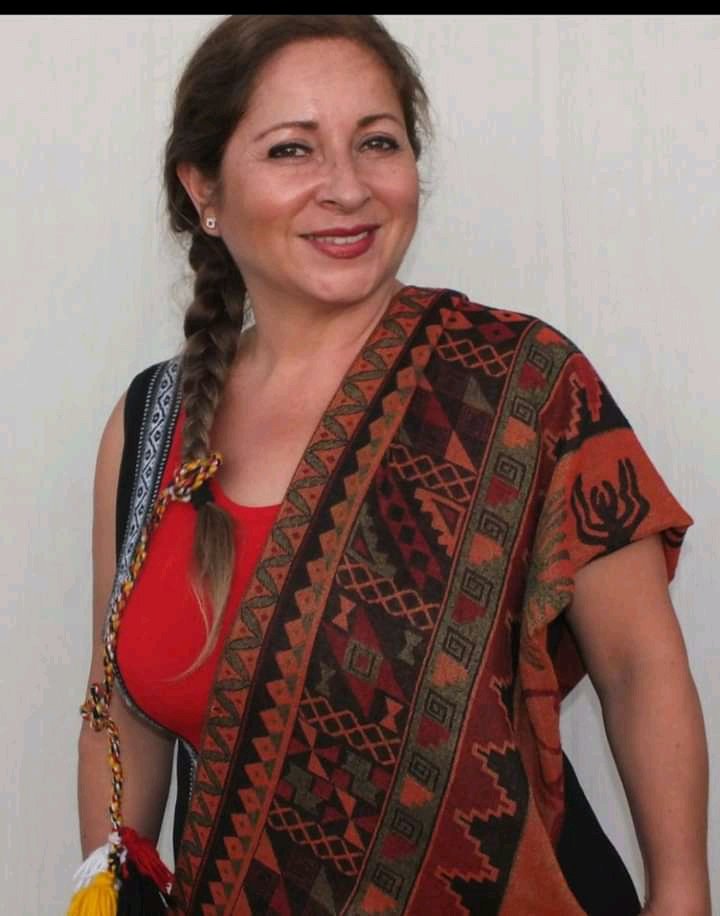 Constituyente del Pueblo Colla es propuesta para la presidencia de la ...