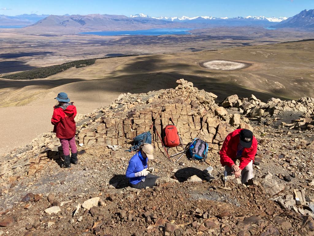 Cerca de Torres del Paine descubren nuevas especies vegetales que ...